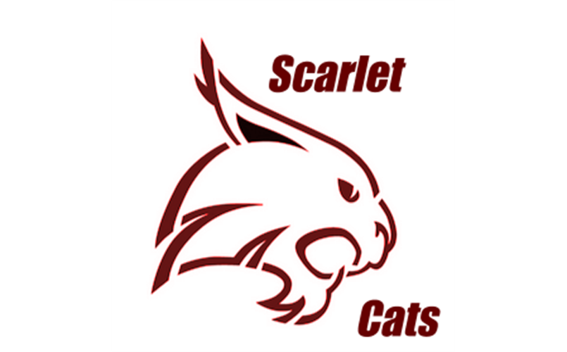 Norwayne Youth Baseball Softball Association > Home