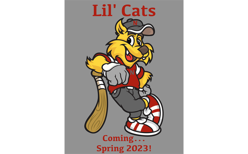 Norwayne Youth Baseball Softball Association > Home