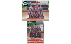 Norwayne Youth Baseball Softball Association > Home