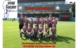 Norwayne Youth Baseball Softball Association > Home